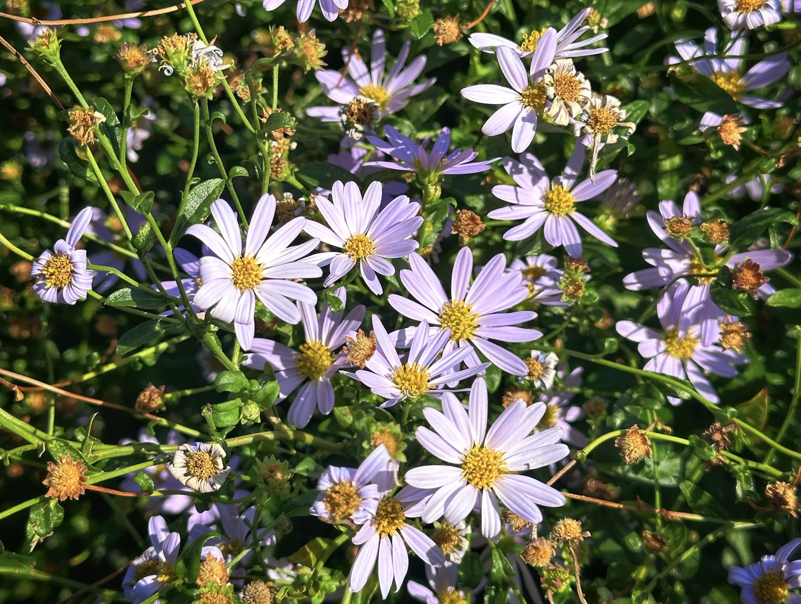 One High Line's Public Park Opens at 500 West 18th Street in Chelsea ...